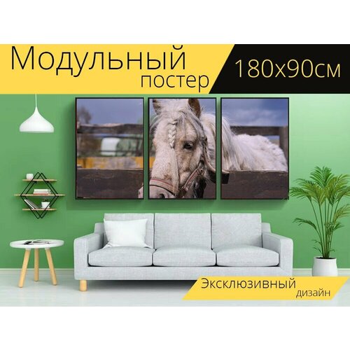 Модульный постер "Пони, лошадь, изгородь" 180 x 90 см. для интерьера