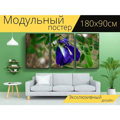 Модульный постер "Синий цветок трава, цветок, травяной" 180 x 90 см. для интерьера