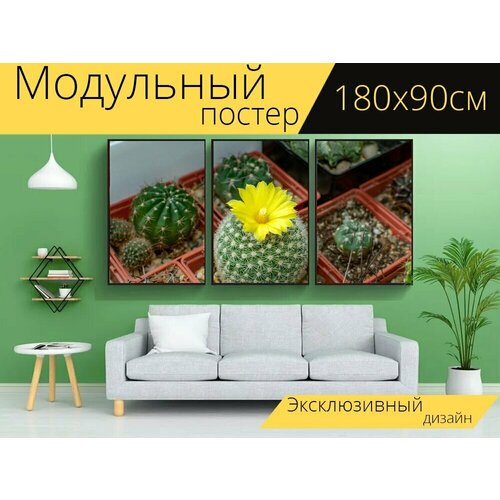 Модульный постер "Кактус, суккулент, комнатное растение" 180 x 90 см. для интерьера