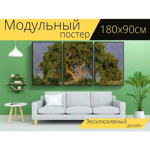 Модульный постер "Словения, птицы, поле" 180 x 90 см. для интерьера
