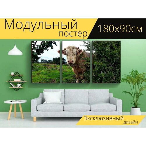 Модульный постер "Природа, поле, говядина" 180 x 90 см. для интерьера