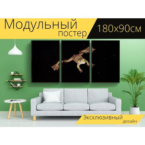 Модульный постер "Лягушка, рептилия, в воде" 180 x 90 см. для интерьера