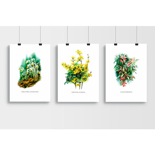 Набор интерьерных плакатов без рамы (3шт) Цветение/Эстетика/Арт/Плакат на стену 21х30 см / Постер формата А4