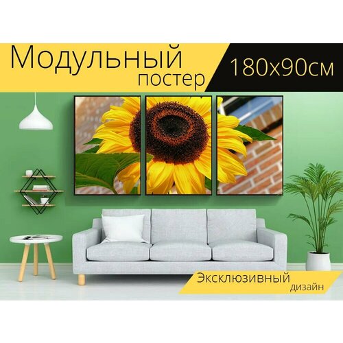 Модульный постер "Подсолнух, цвести, летом" 180 x 90 см. для интерьера