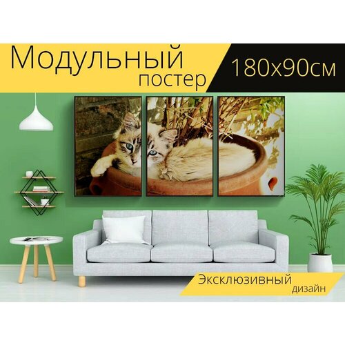 Модульный постер "Котенок смотрит на вас, красивая кошка, портрет питомца" 180 x 90 см. для интерьера