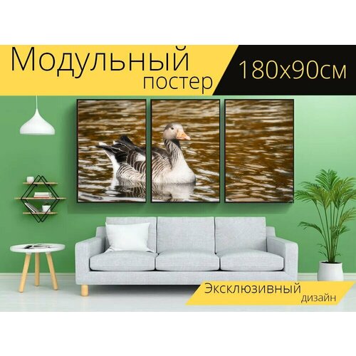 Модульный постер "Гусь, дикие птицы, дикий гусь" 180 x 90 см. для интерьера