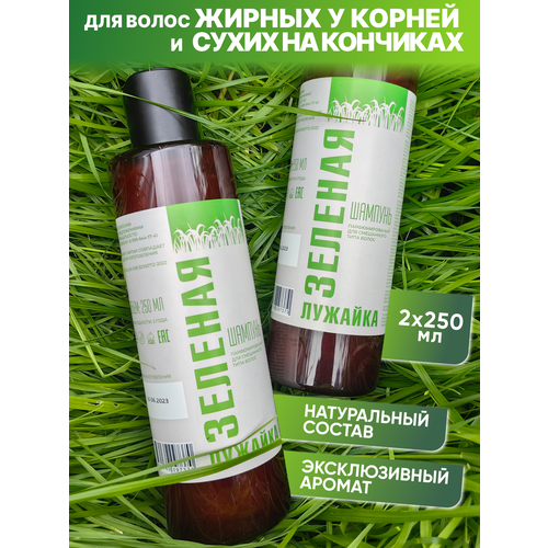 Шампунь Зеленая лужайка для смешанного типа волос парфюмированный балансирующий 2х250 мл
