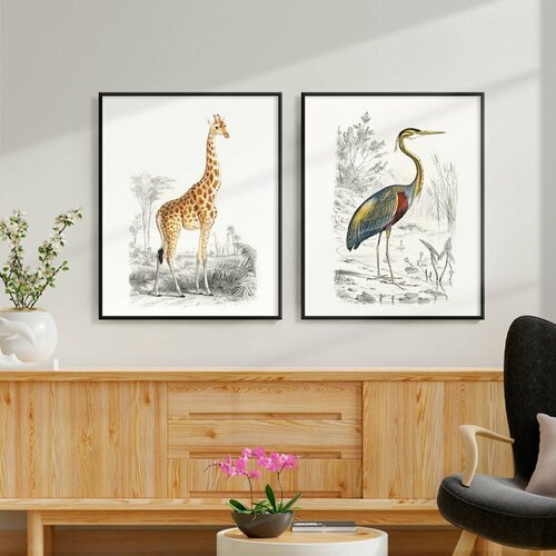 Плакат Постер 2 шт 60х90 без рамки "Птица и жираф иллюстрация" набор картин для интерьера