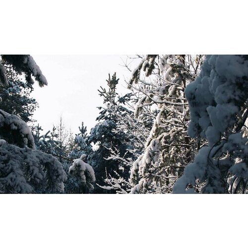 Картина на холсте 60x110 LinxOne "Елки, деревья, снег, зима, заснеженный, природа" интерьерная для дома / на стену / на кухню / с подрамником