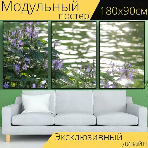 Модульный постер "Цветок, вода, природа" 180 x 90 см. для интерьера