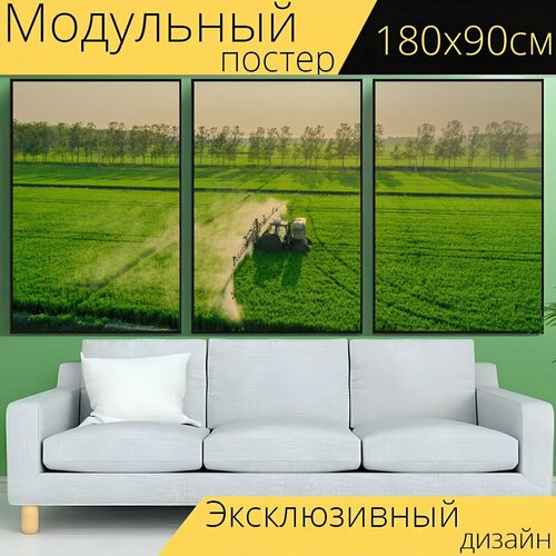 Модульный постер "Рис, поле, трактор" 180 x 90 см. для интерьера