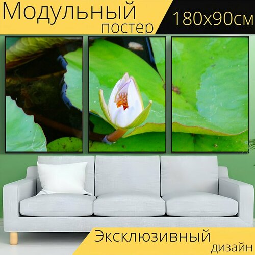 Модульный постер "Лотос, цветок, природа" 180 x 90 см. для интерьера