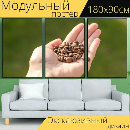 Модульный постер "Зерно, кофе, напиток" 180 x 90 см. для интерьера