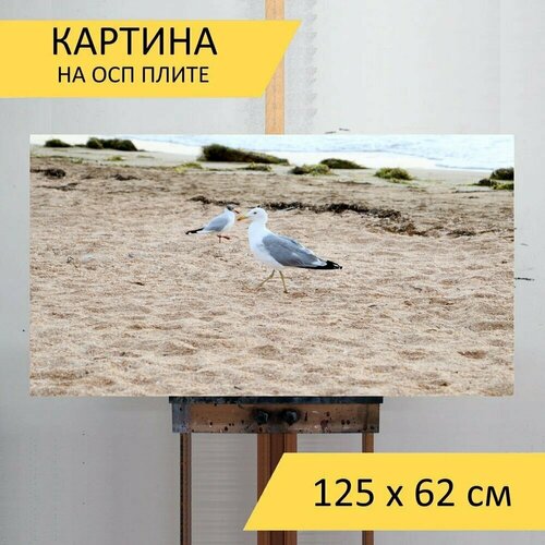 Картина на ОСП 125х62 см. "Чайки, берег, море" горизонтальная, для интерьера, с креплениями