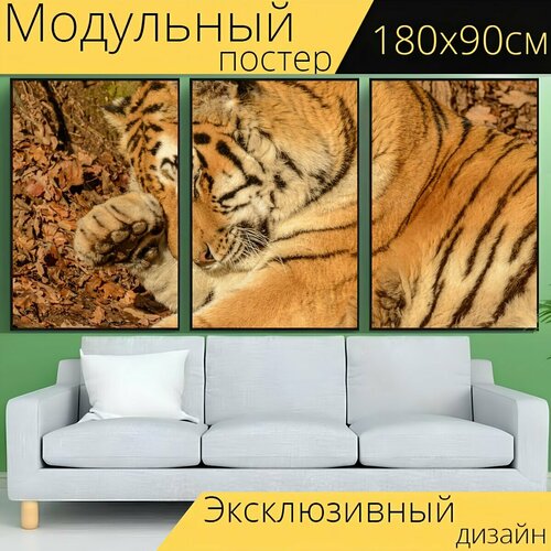 Модульный постер "Тигр, лапа, кот" 180 x 90 см. для интерьера
