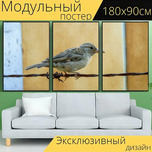Модульный постер "Воробьи, птица, птицы" 180 x 90 см. для интерьера