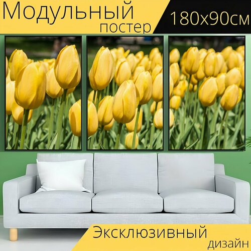 Модульный постер "Цветы, тюльпаны, желтый" 180 x 90 см. для интерьера