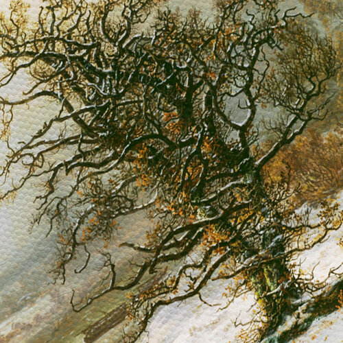 Картина на холсте, репродукция / Юхан Кристиан Даль - Oak Tree by the Elbe / Размер 40 x 53 см