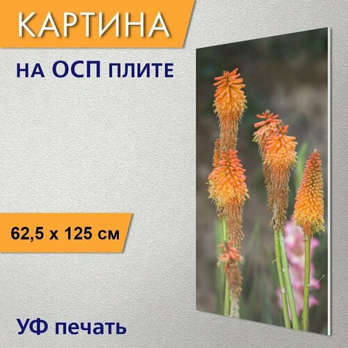 Вертикальная картина на ОСП "Цветок, апельсин, сад" 62x125 см. для интерьериа