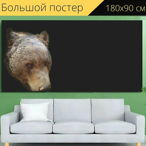 Большой постер "Нести, голова медведя, артистический" 180 x 90 см. для интерьера