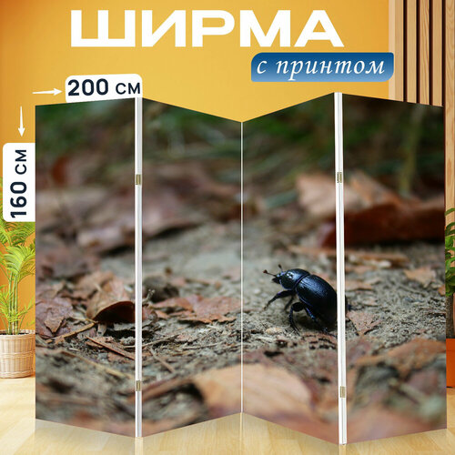 Ширма перегородка с принтом "Жук, жук, насекомое" на холсте - 200x160 см. для зонирования, раскладная