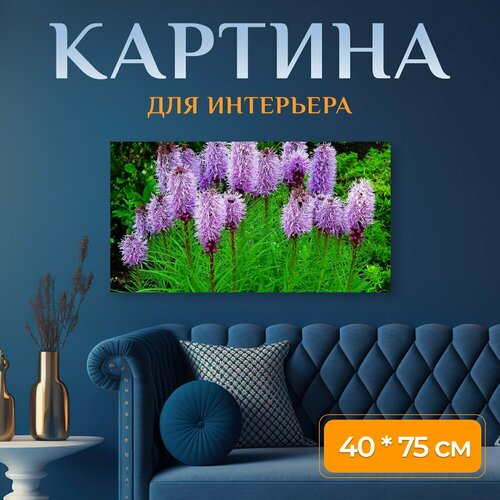 Картина на холсте "Цветы, фиолетовые цветы, соцветие" на подрамнике 75х40 см. для интерьера