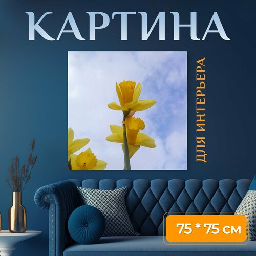 Картина на холсте "Нарциссы, жёлтый, цветы" на подрамнике 75х75 см. для интерьера