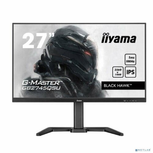 IIYAMA Монитор LCD IIYAMA 27' GB2745QSU-B1 IPS 2560x1440 100Hz 1ms HDMI DisplaPort USB M/M HAS Pivot чёрный