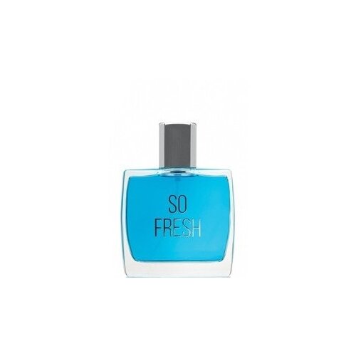 Dilis Parfum туалетная вода So Fresh, 100 мл, 340 г