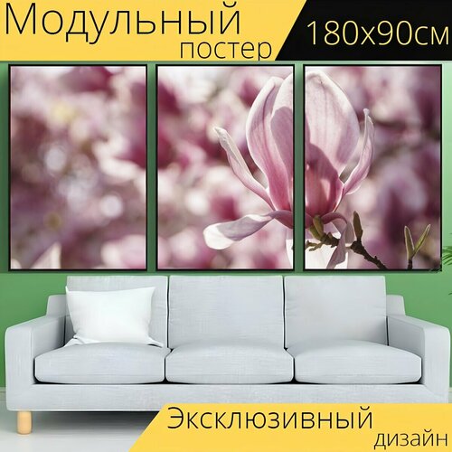 Модульный постер "Магнолия, цветок, весна" 180 x 90 см. для интерьера