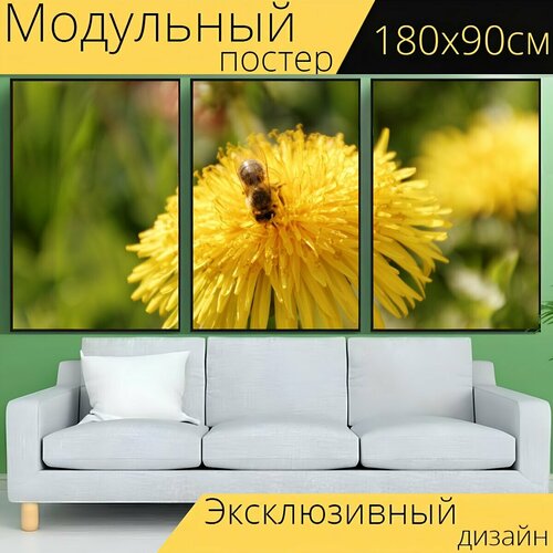 Модульный постер "Пчела, одуванчик, желтый" 180 x 90 см. для интерьера