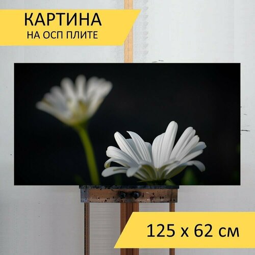 Картина на ОСП 125х62 см. "Маргарита, белый, цветок" горизонтальная, для интерьера, с креплениями