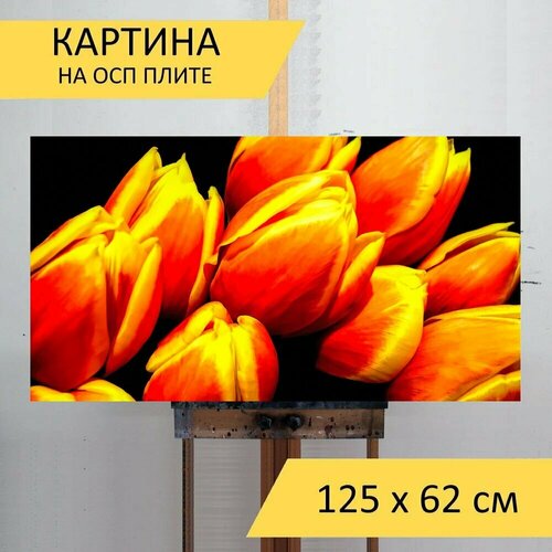 Картина на ОСП 125х62 см. "Цветок, тюльпан, природа" горизонтальная, для интерьера, с креплениями