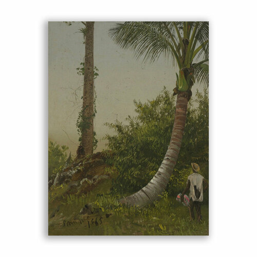Картина на холсте, репродукция / Фредерик Эдвин Чёрч - Trees in Jamaica, West / Размер 30 x 40 см
