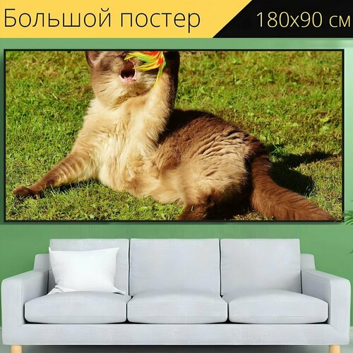 Большой постер "Кот, британская короткошерстная кошка, играть" 180 x 90 см. для интерьера