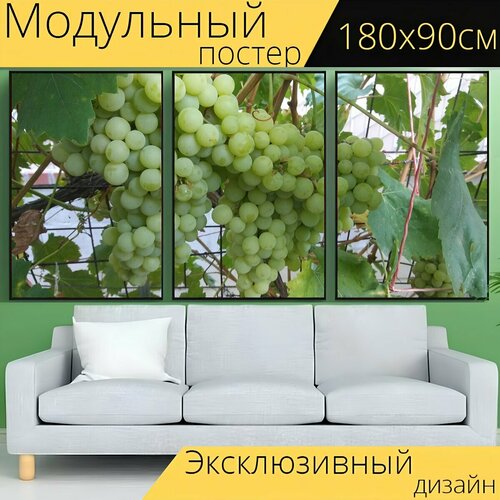 Модульный постер "Уборка урожая, корзина, фрукты" 180 x 90 см. для интерьера
