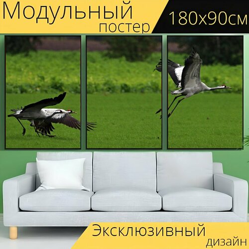 Модульный постер "Краны, птицы, летающий" 180 x 90 см. для интерьера