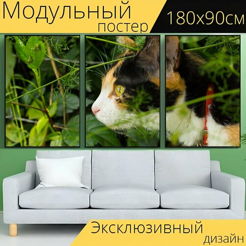 Модульный постер "Кот, кошачий, животные" 180 x 90 см. для интерьера