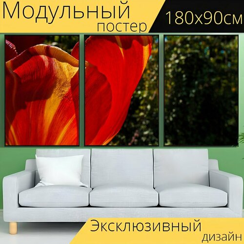 Модульный постер "Тюльпан, цветок, апельсин" 180 x 90 см. для интерьера