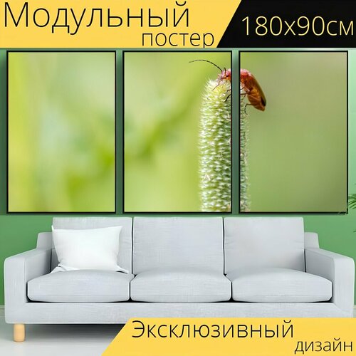 Модульный постер "Жук, жук, насекомое" 180 x 90 см. для интерьера