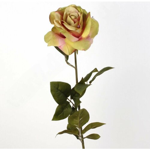 Роза голландская d 14 см 92 см 1 шт. зелено-розовая