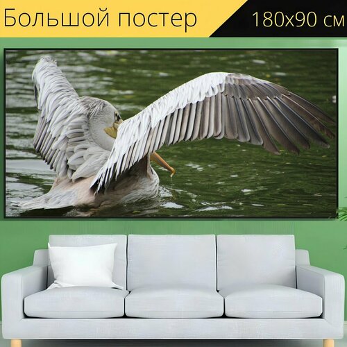 Большой постер "Пеликан, птица, водоплавающая птица" 180 x 90 см. для интерьера