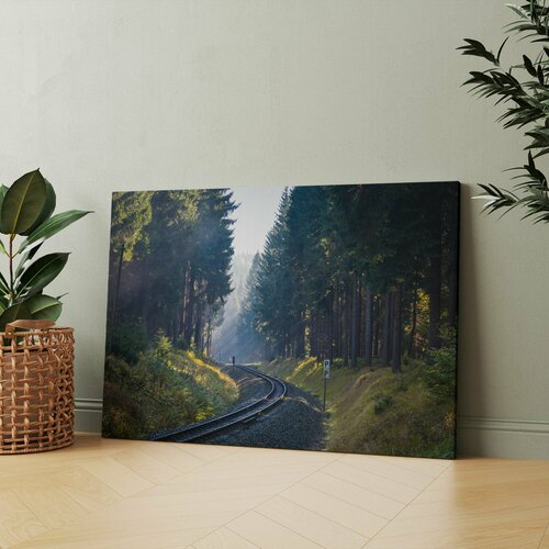 Картина на холсте (железная дорога поезд лесная узкоколейная) 50x70 см/для интерьера/в комнату/на стену/в подарок