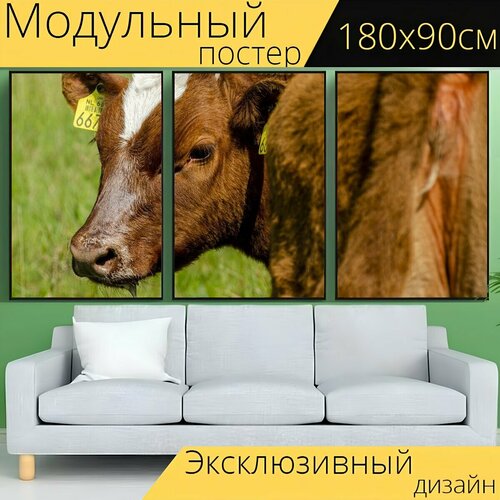 Модульный постер "Корова, животное, ярлык" 180 x 90 см. для интерьера