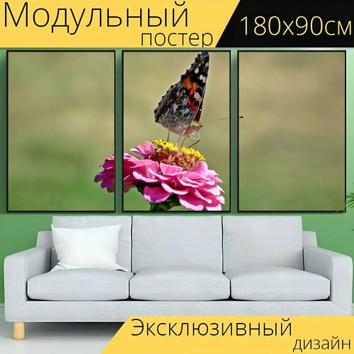 Модульный постер "Бабочка, насекомое, цинния" 180 x 90 см. для интерьера