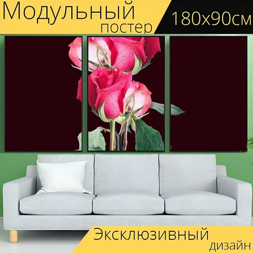 Модульный постер "Розы, цветы, завод" 180 x 90 см. для интерьера