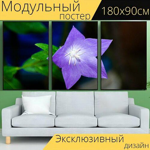 Модульный постер "Колокольчик цветок, фиолетовый, весна" 180 x 90 см. для интерьера