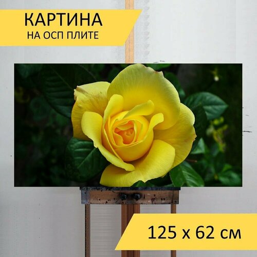 Картина на ОСП 125х62 см. "Цветок, роуз, желтый" горизонтальная, для интерьера, с креплениями