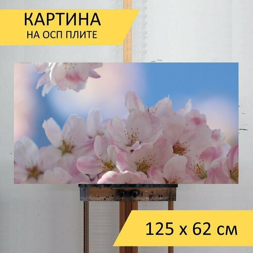 Картина на ОСП 125х62 см. "Вишни в цвету, весна, цветок" горизонтальная, для интерьера, с креплениями