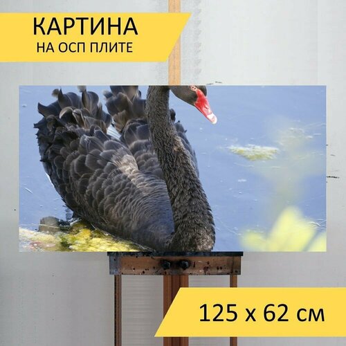 Картина на ОСП 125х62 см. "Чернить, лебедь, водоплавающая птица" горизонтальная, для интерьера, с креплениями